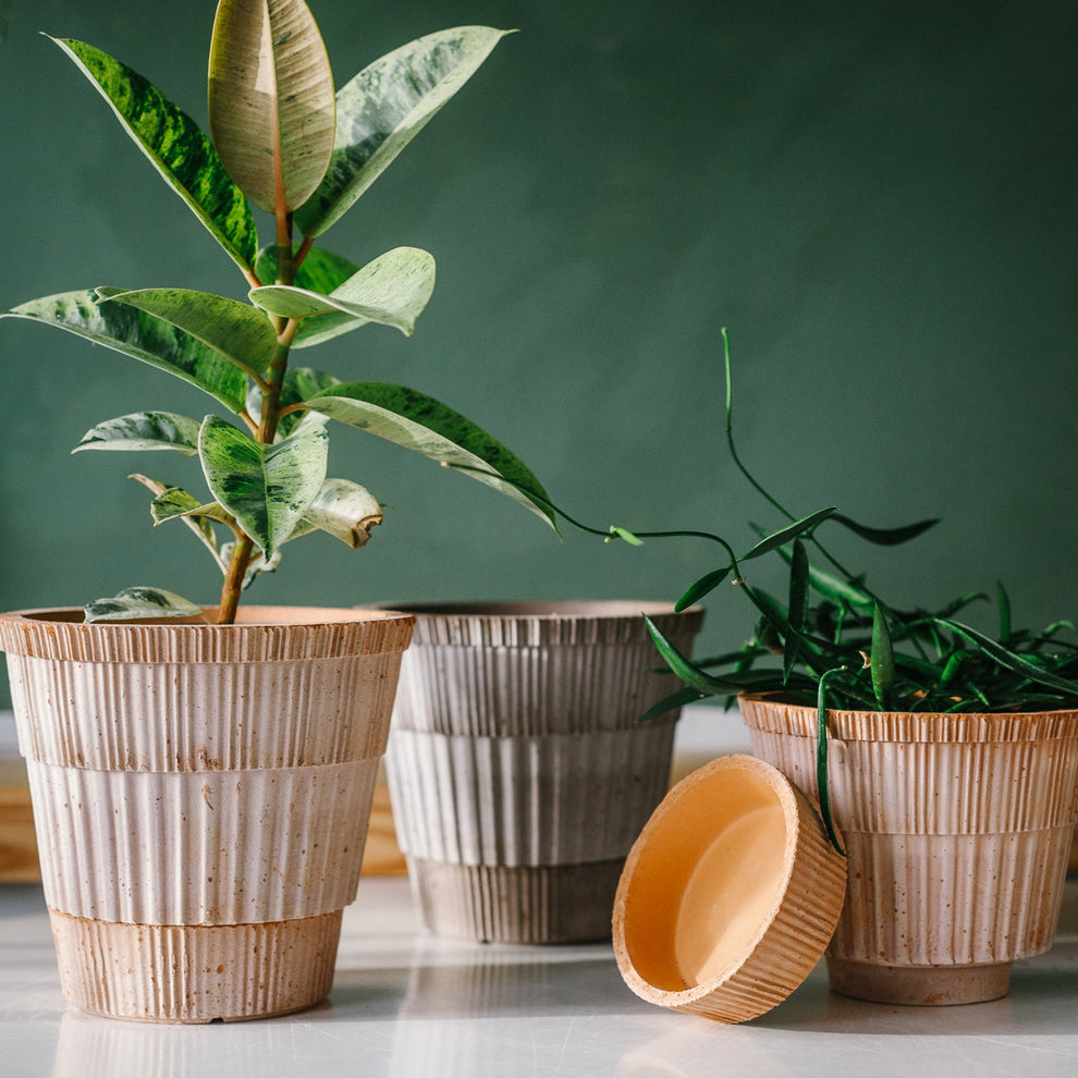 Atlas Plant Pot – Soil Ninja