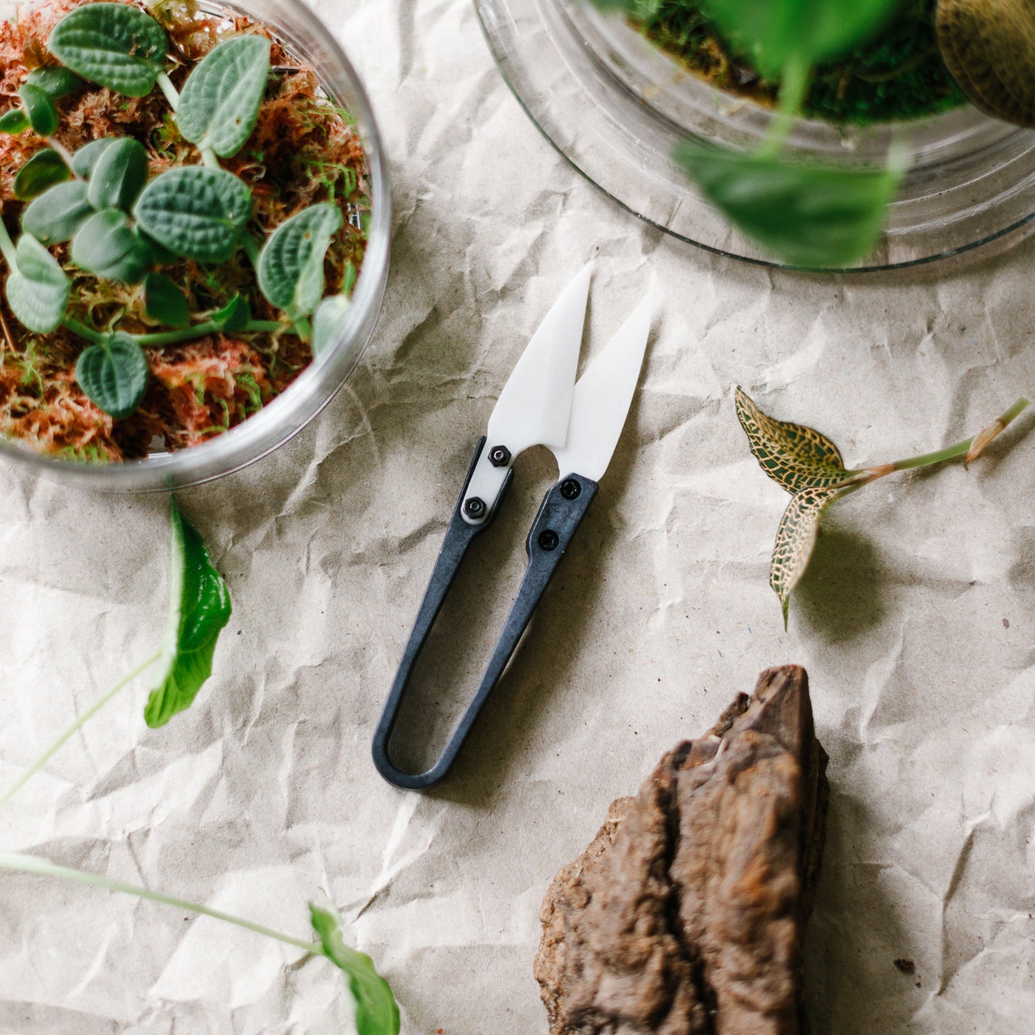 Ceramic Snips – Soil Ninja