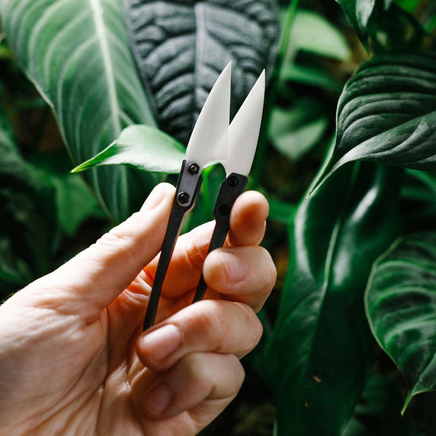 Ceramic Snips – Soil Ninja