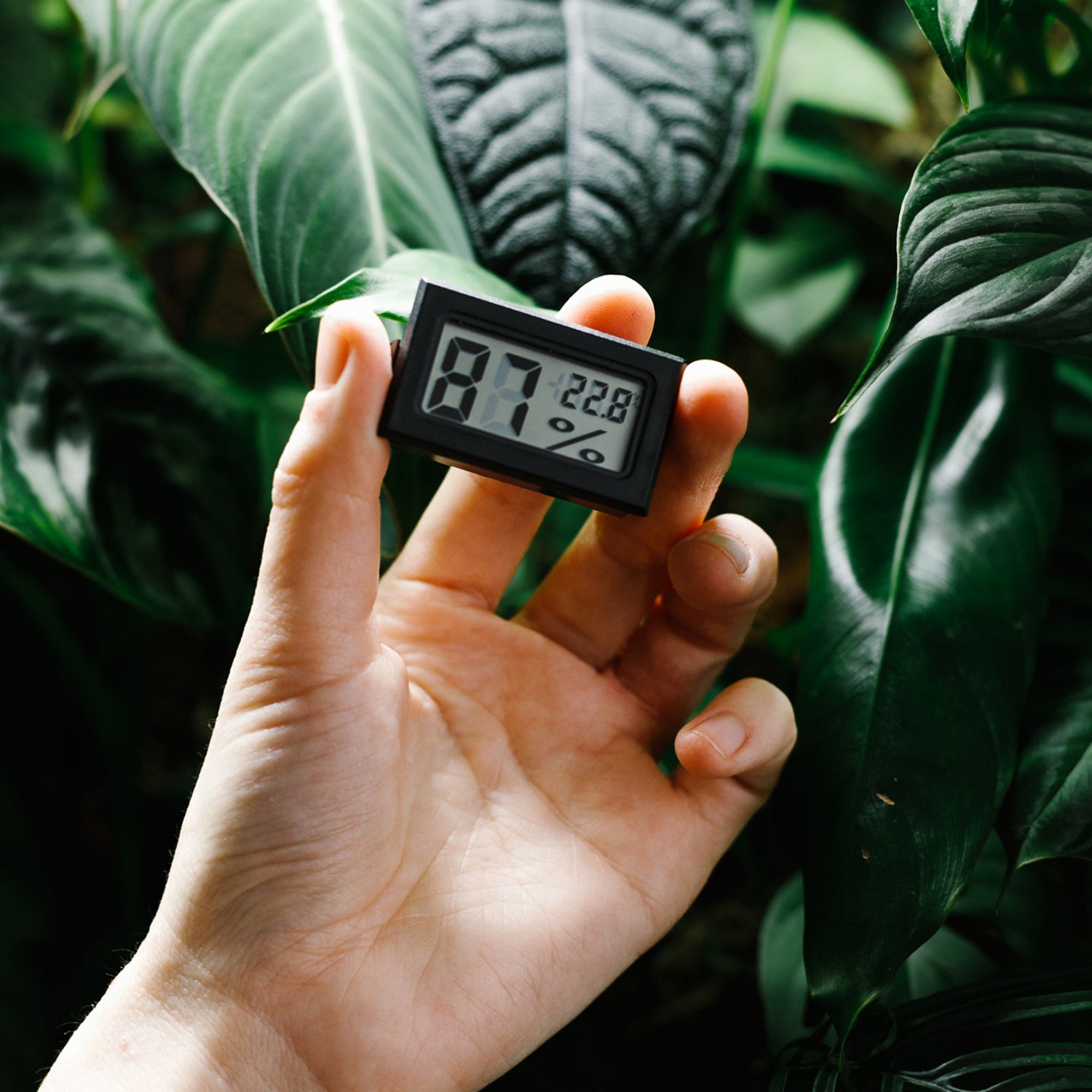 Hygrometers [Twin Pack] – Soil Ninja