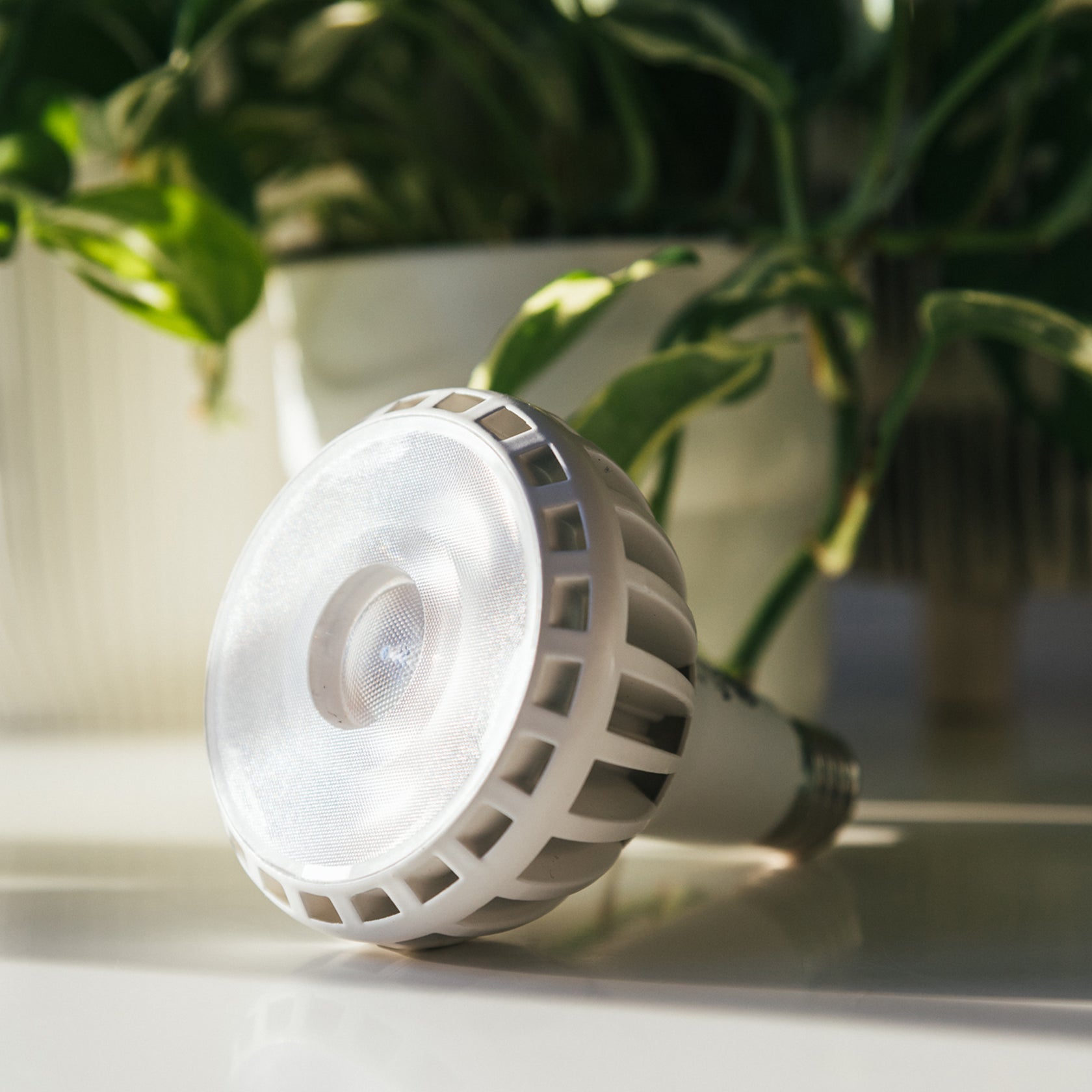 Pianta Grow Light – Soil Ninja