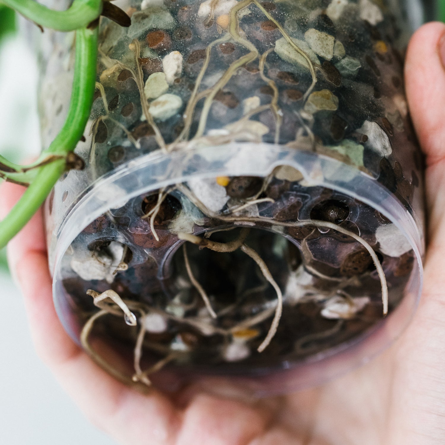 Semi-Hydro Mix [Coarse & Fine] – Soil Ninja