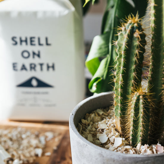Shell on Earth – Soil Ninja