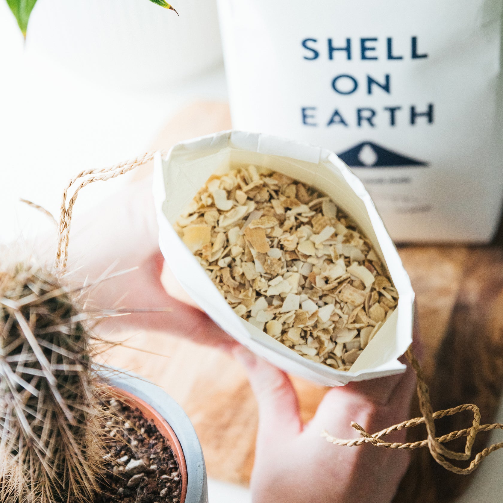 Shell on Earth – Soil Ninja